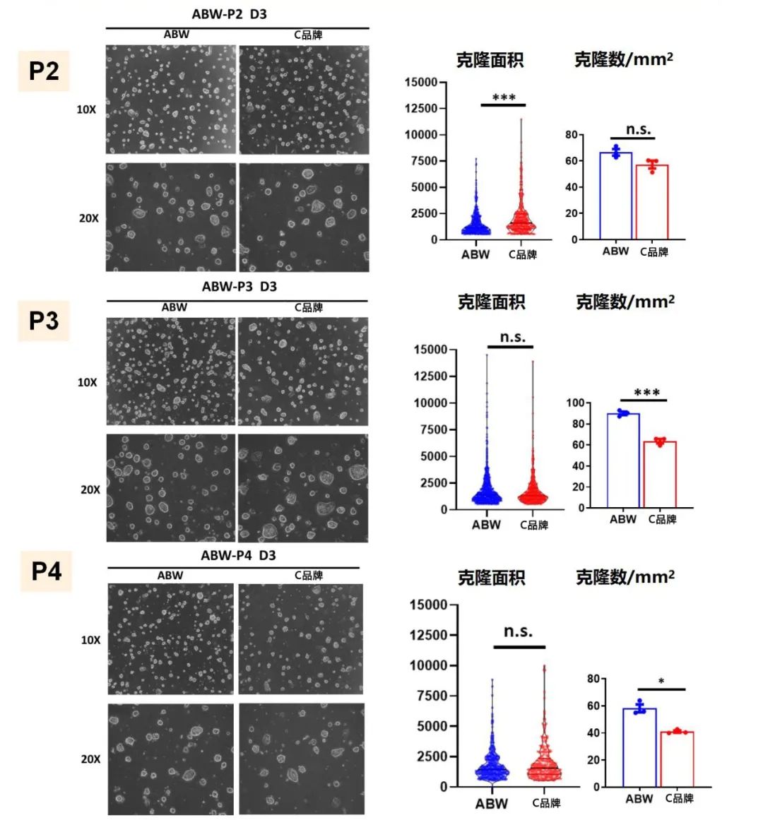扩展型多能干细胞(EPSC)培养及分化-杭州昊鑫生物