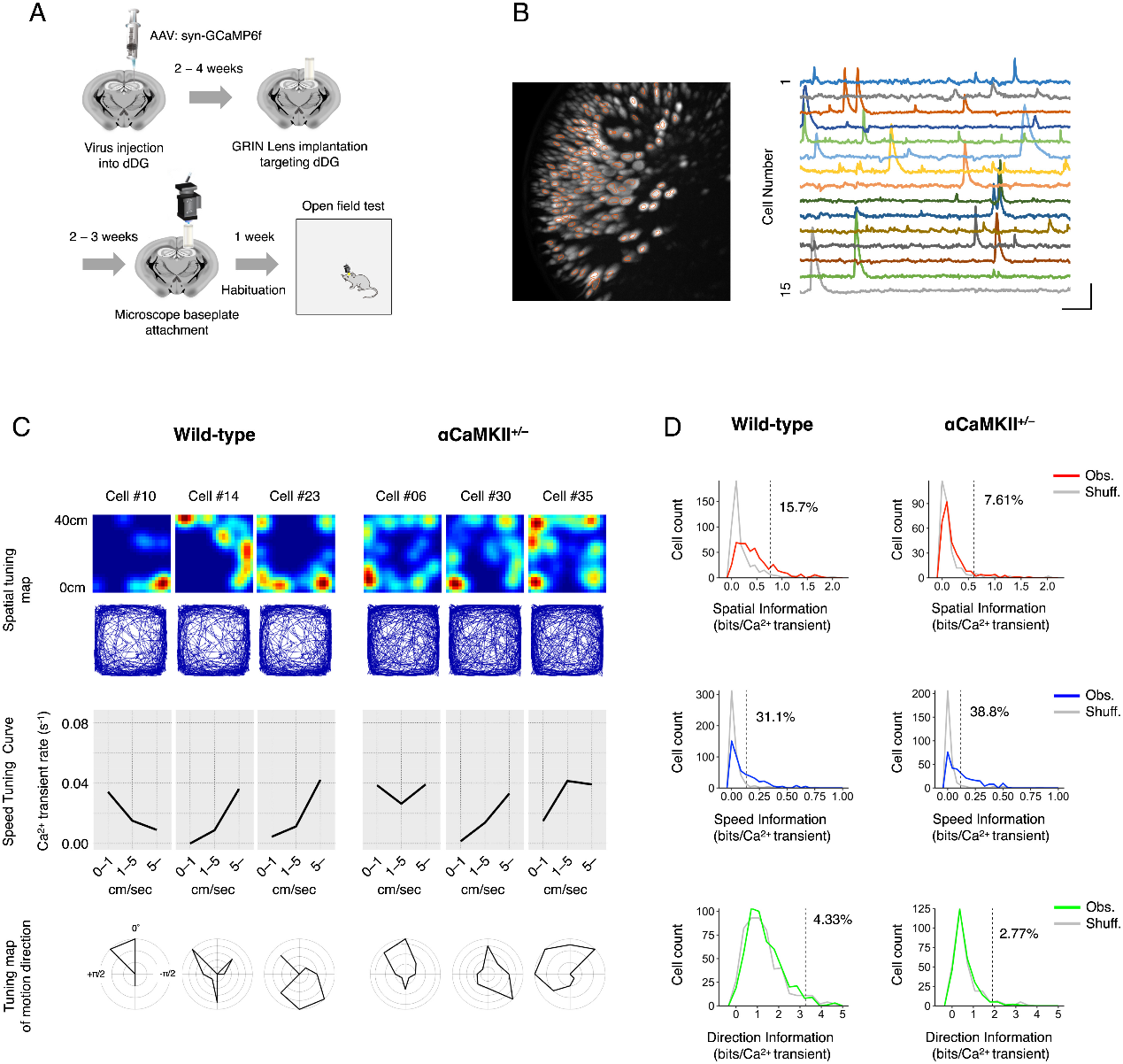 滔博生物-自由活动钙成像显微镜