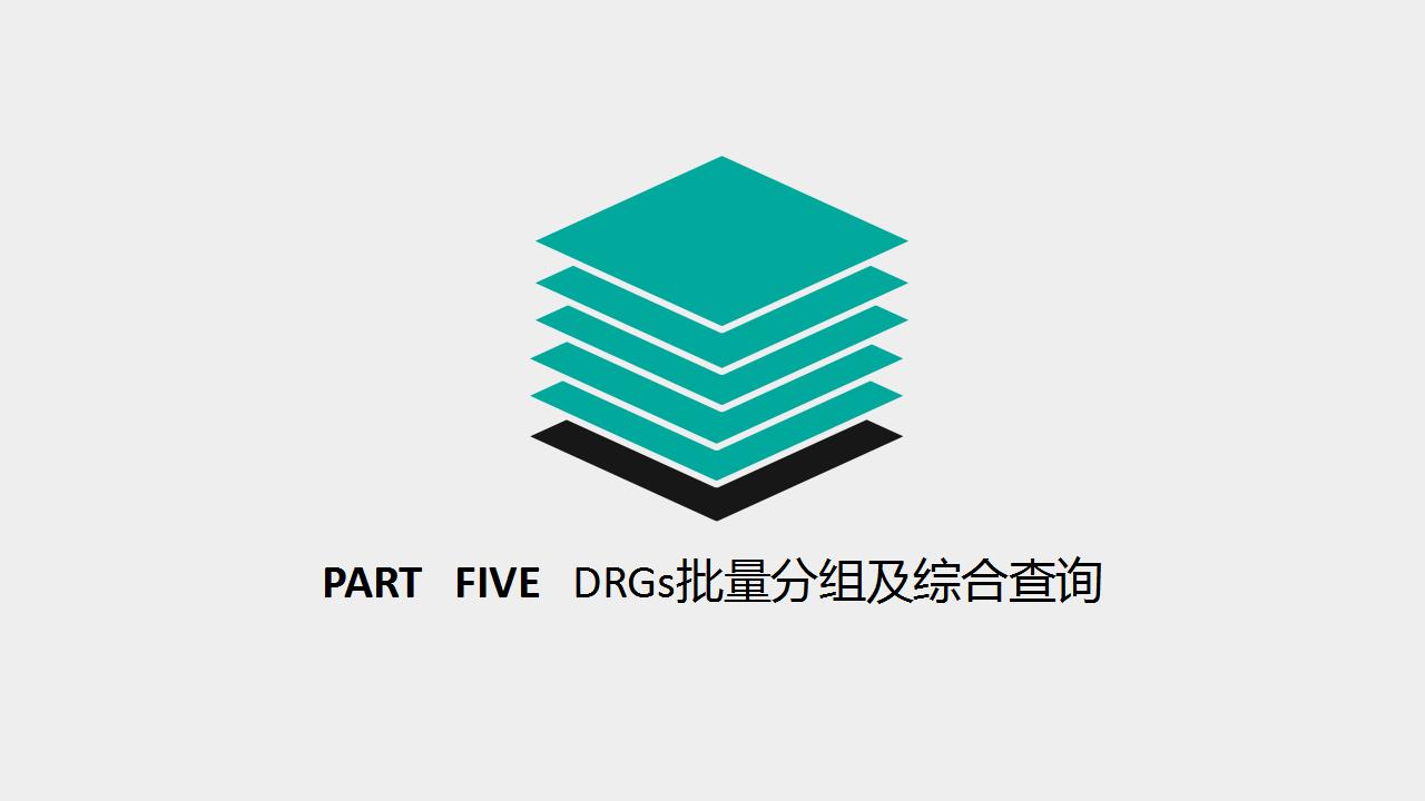 DRGs分组器-杭州莱文科技有限公司