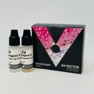 Vectastain Elite ABC-HRP免疫组化试剂盒（标准）-杭州昊鑫生物