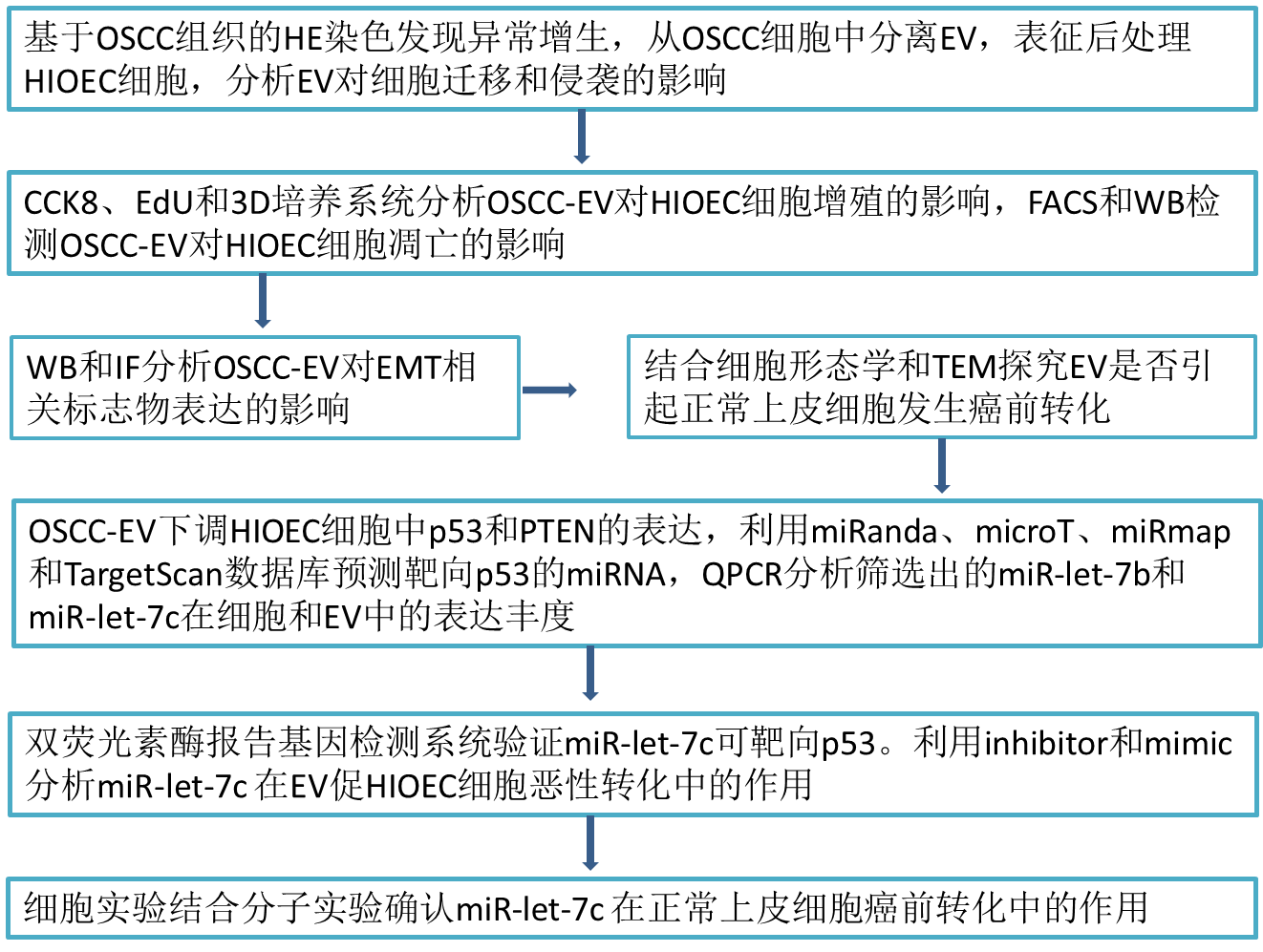 癌细胞通过富含miR-let-7c的小细胞外囊泡介导的p53/PTEN下调破坏正常上皮细胞-研载生物科技（上海）有限公司
