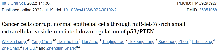 癌细胞通过富含miR-let-7c的小细胞外囊泡介导的p53/PTEN下调破坏正常上皮细胞-研载生物科技（上海）有限公司