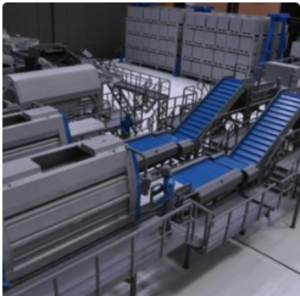 Auto color sorter operation flow/principle-auto color sorter maker