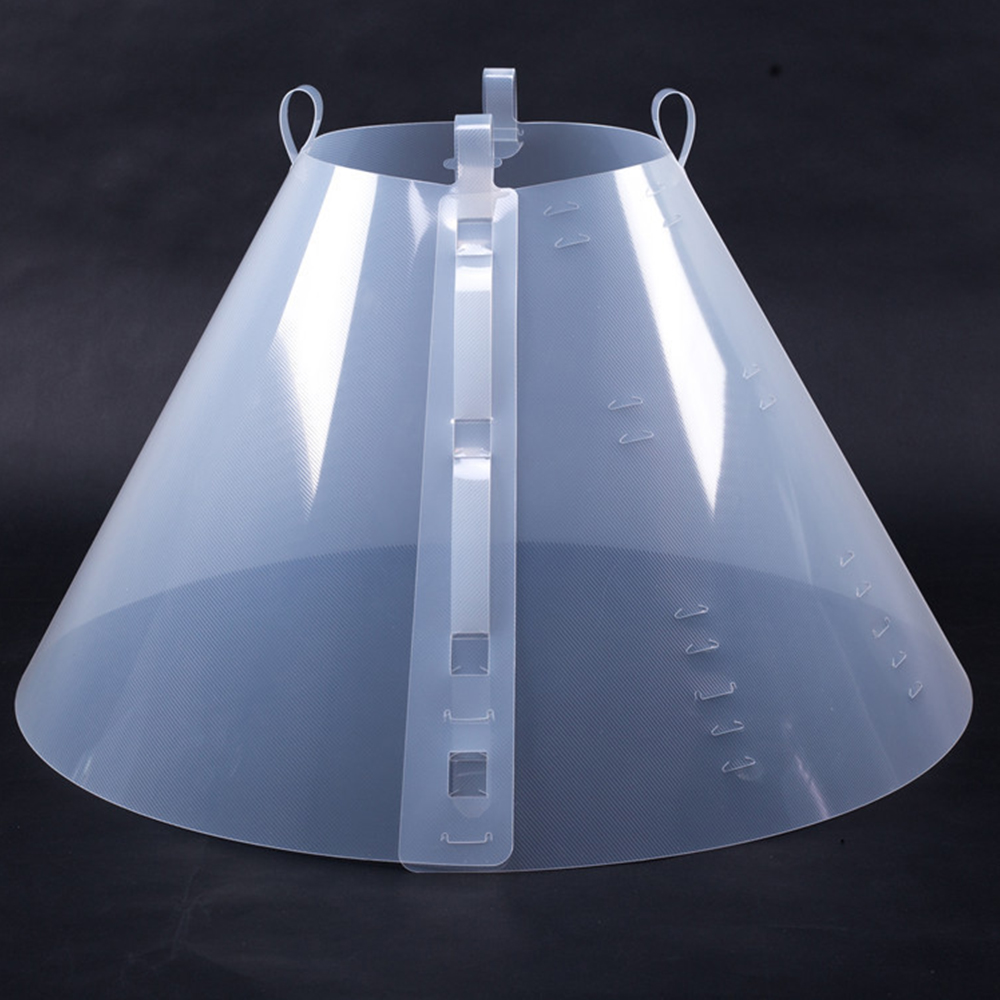 Pet Elizabethan Collar