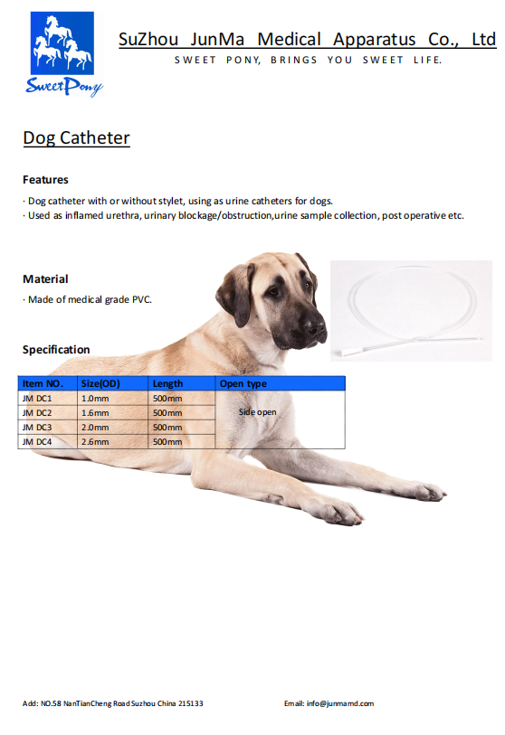 dog catheter Veterinary