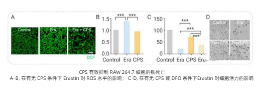 铁死亡检测的关键指标，收藏！ - 企业动态 - 丁香通