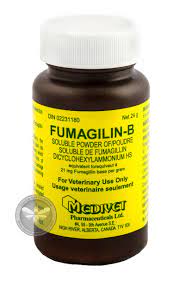 Exploring the Anticancer Properties of Fumagillin from Shanghai ...