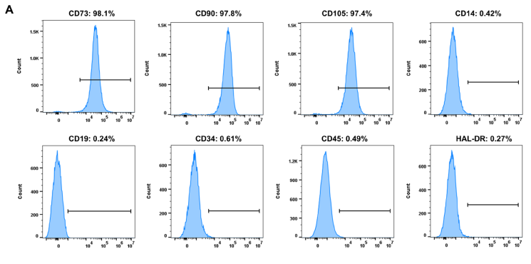 外泌体鉴定-外泌体提取-细胞摄取-细胞功能实验-研载生物科技（上海）有限公司