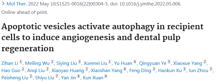 外泌体鉴定-外泌体提取-细胞摄取-细胞功能实验-研载生物科技（上海）有限公司