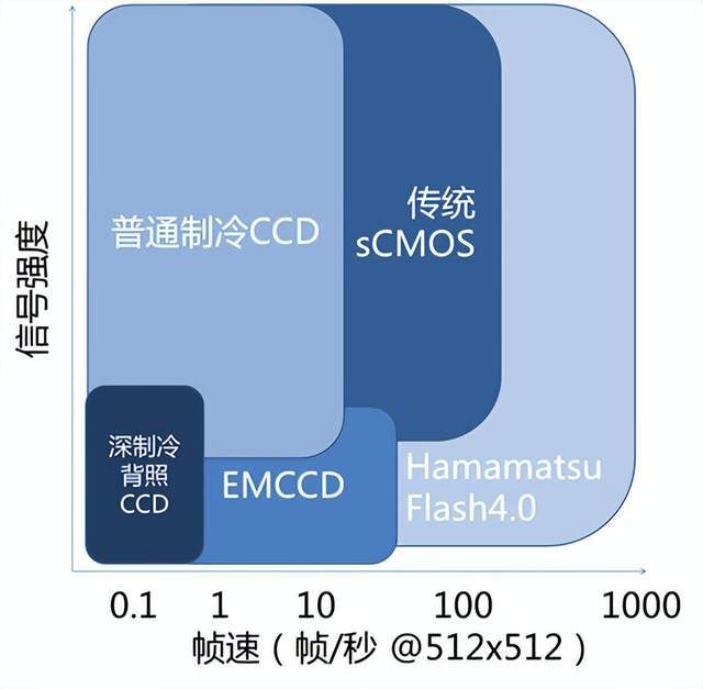 Flash4.0系列sCMOS相机高速成像性能在生物领域中的应用_东方闪光（北京）光电科技有限公司