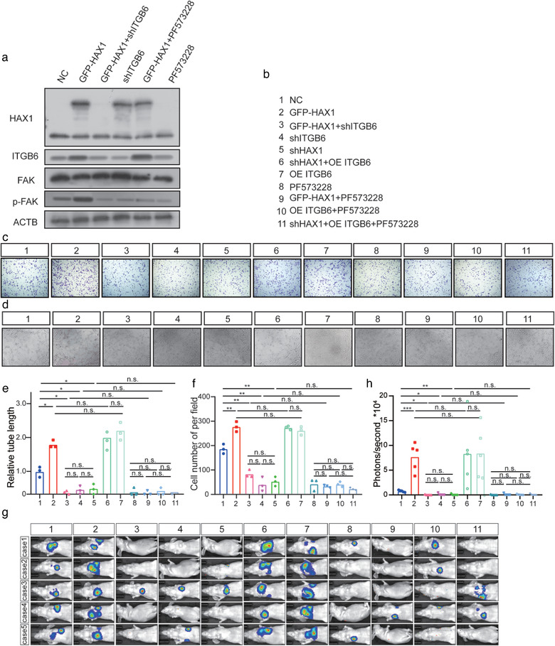 外泌体鉴定-外泌体提取-实时荧光定量PCR-研载生物科技（上海）有限公司