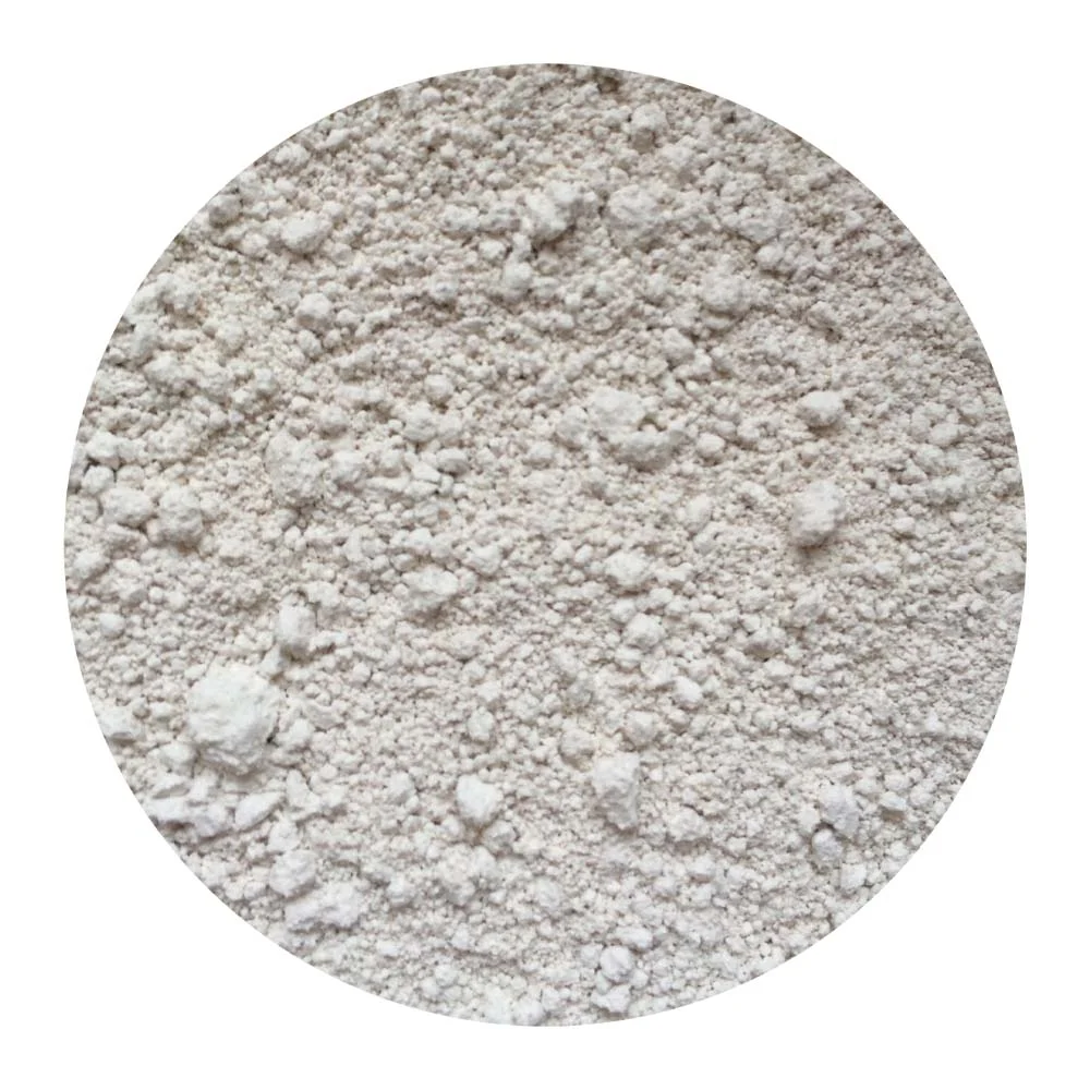 Fungicide Carbendazim Wholesale & Manufacturer | Agricultural Solutions