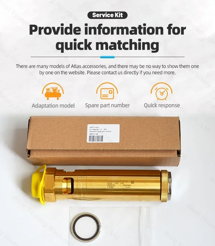 Atlas Copco Safety Valve Kit 1837006311