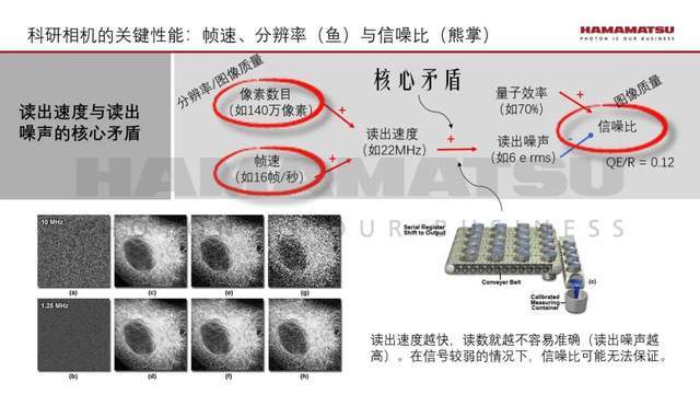 qCMOS vs EMCCD，科研相机迎来“光子定量”新纪元！17_东方闪光（北京）光电科技有限公司
