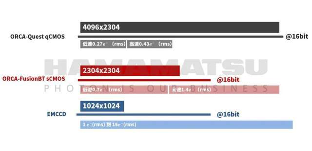qCMOS vs EMCCD，科研相机迎来“光子定量”新纪元！17_东方闪光（北京）光电科技有限公司