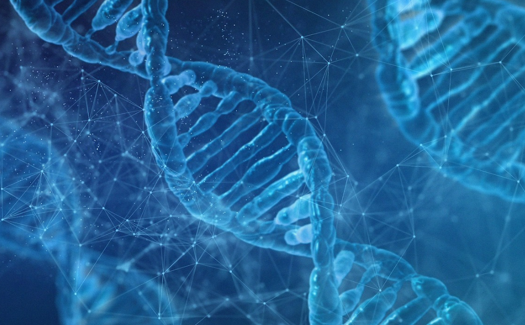 博竞公司新闻-上海博竞生物科技有限公司