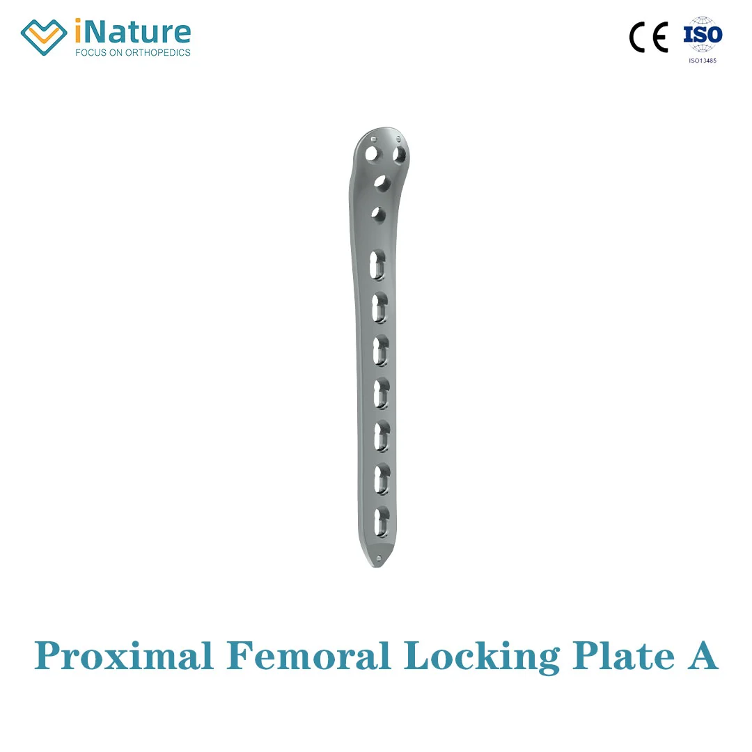 Proximal Femoral Locking Plate A-| iNature - Manufacturer & Sale