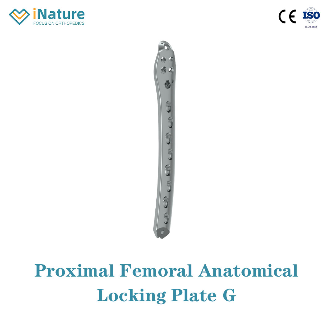 Proximal Femoral Anatomical Locking Plate G-| iNature - Manufacturer & Sale