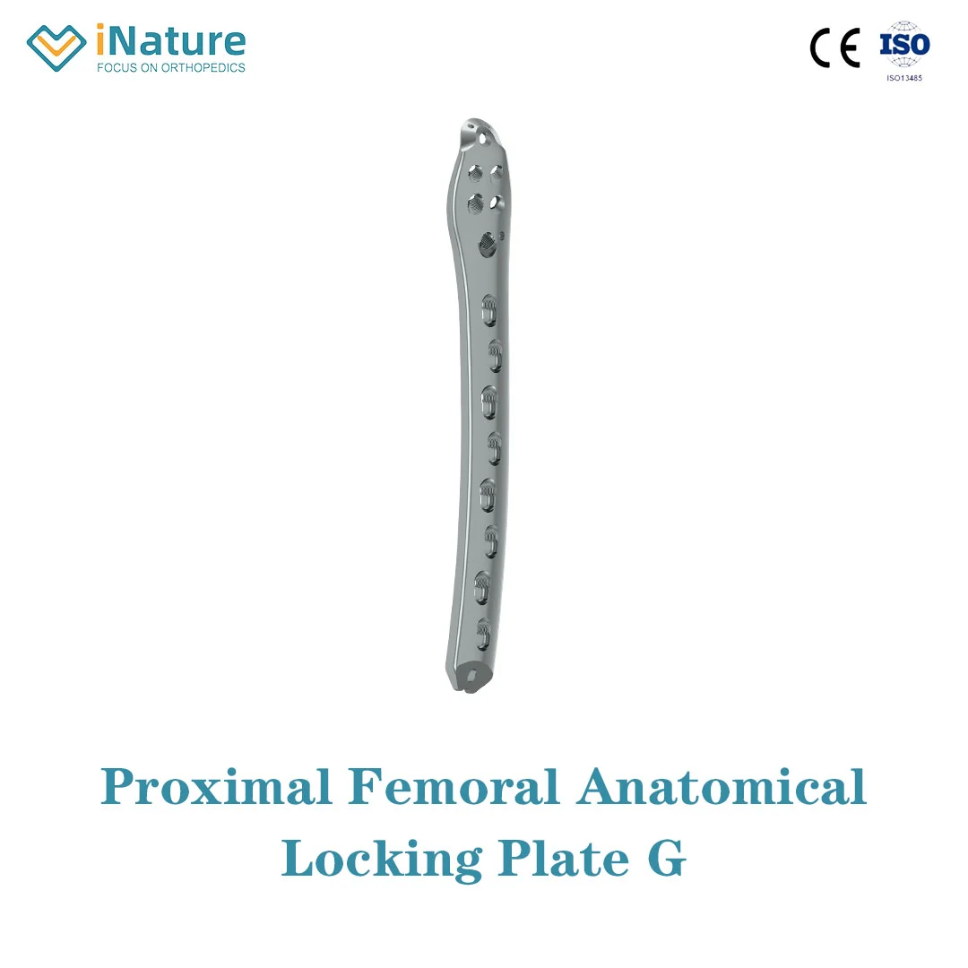 Proximal Femoral Anatomical Locking Plate G-| iNature - Manufacturer & Sale