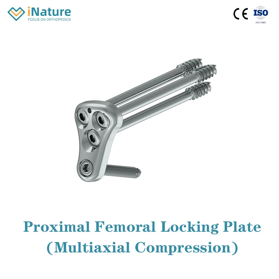 Proximal Femoral Locking Plate Multiaxial Compression Inature