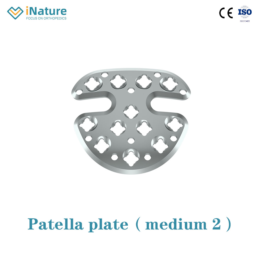 Patella plate (medium 2)-| iNature - Manufacturer & Sale
