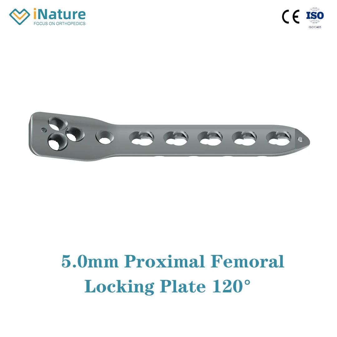 5.0mm Proximal Femoral Locking Plate 120°-| iNature - Manufacturer & Sale