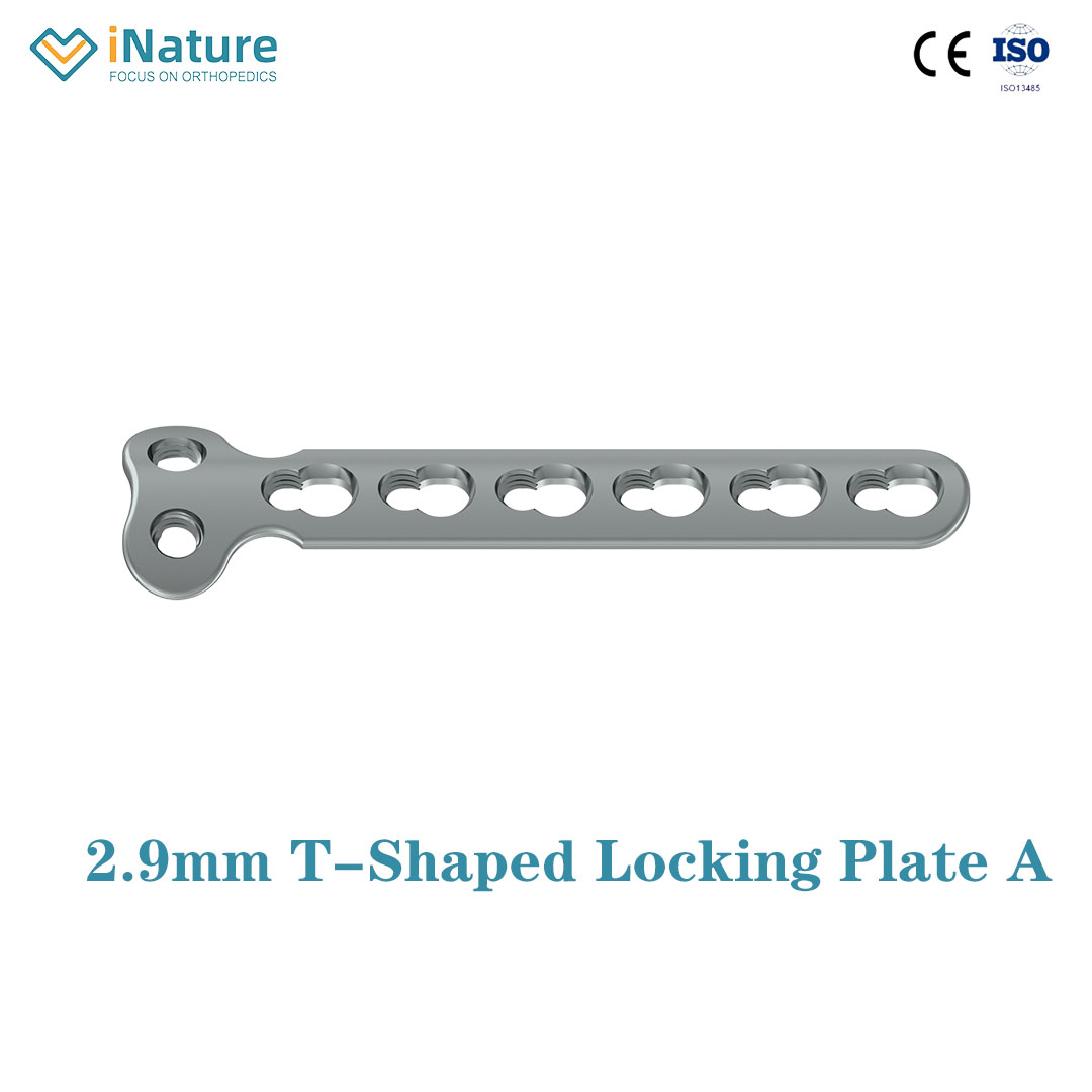 2.9mm T-Shaped Locking Plate A-| iNature - Manufacturer & Sale