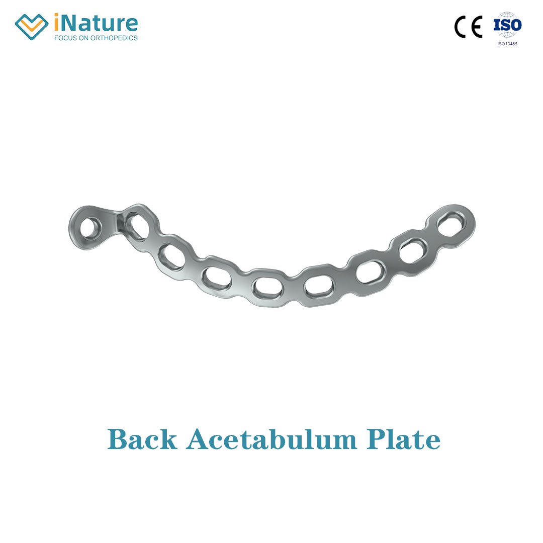 Acetabulum Back Plate-| iNature - Manufacturer & Sale