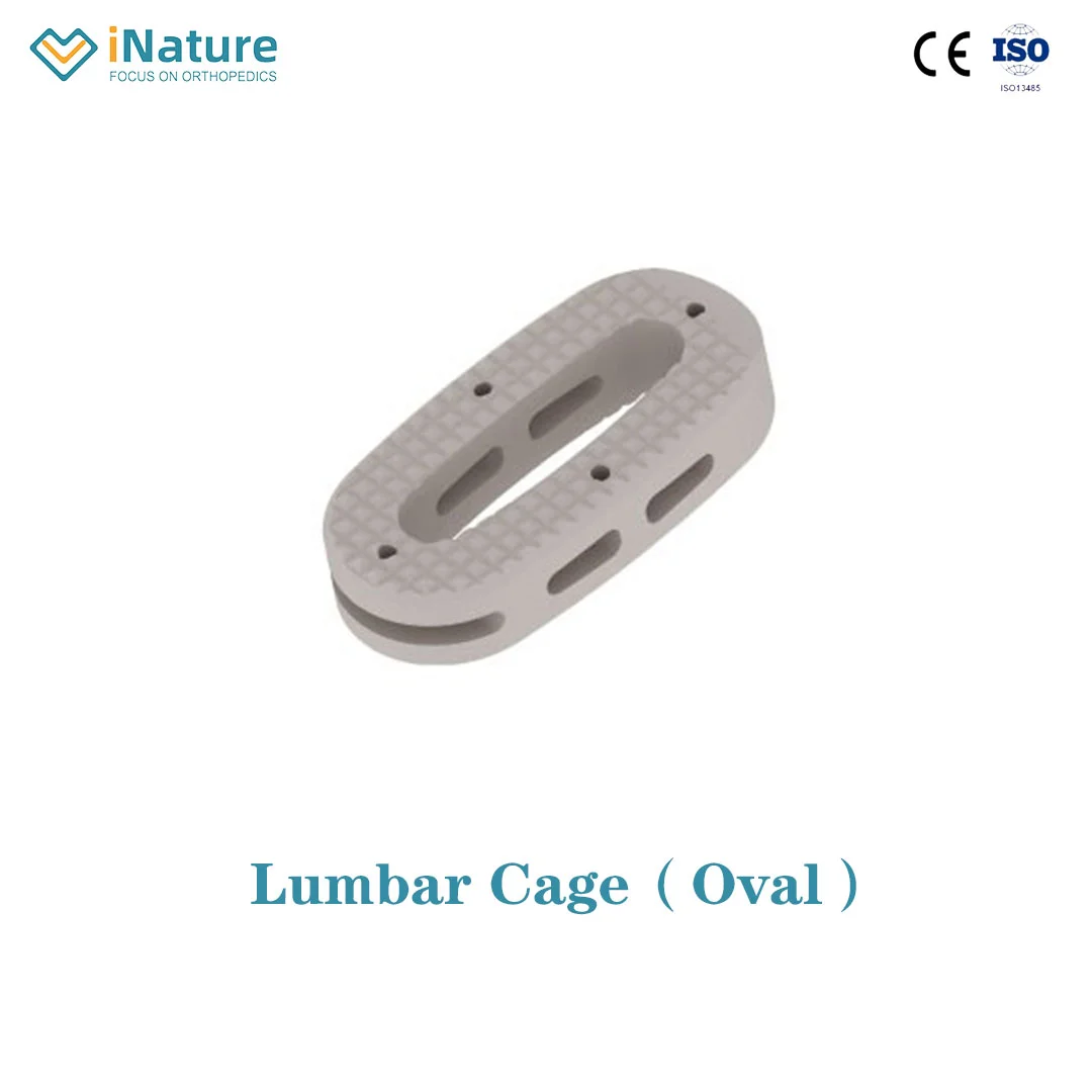 Peek Material Spinal Treatment Fusion Cage Manufacturer-Inature