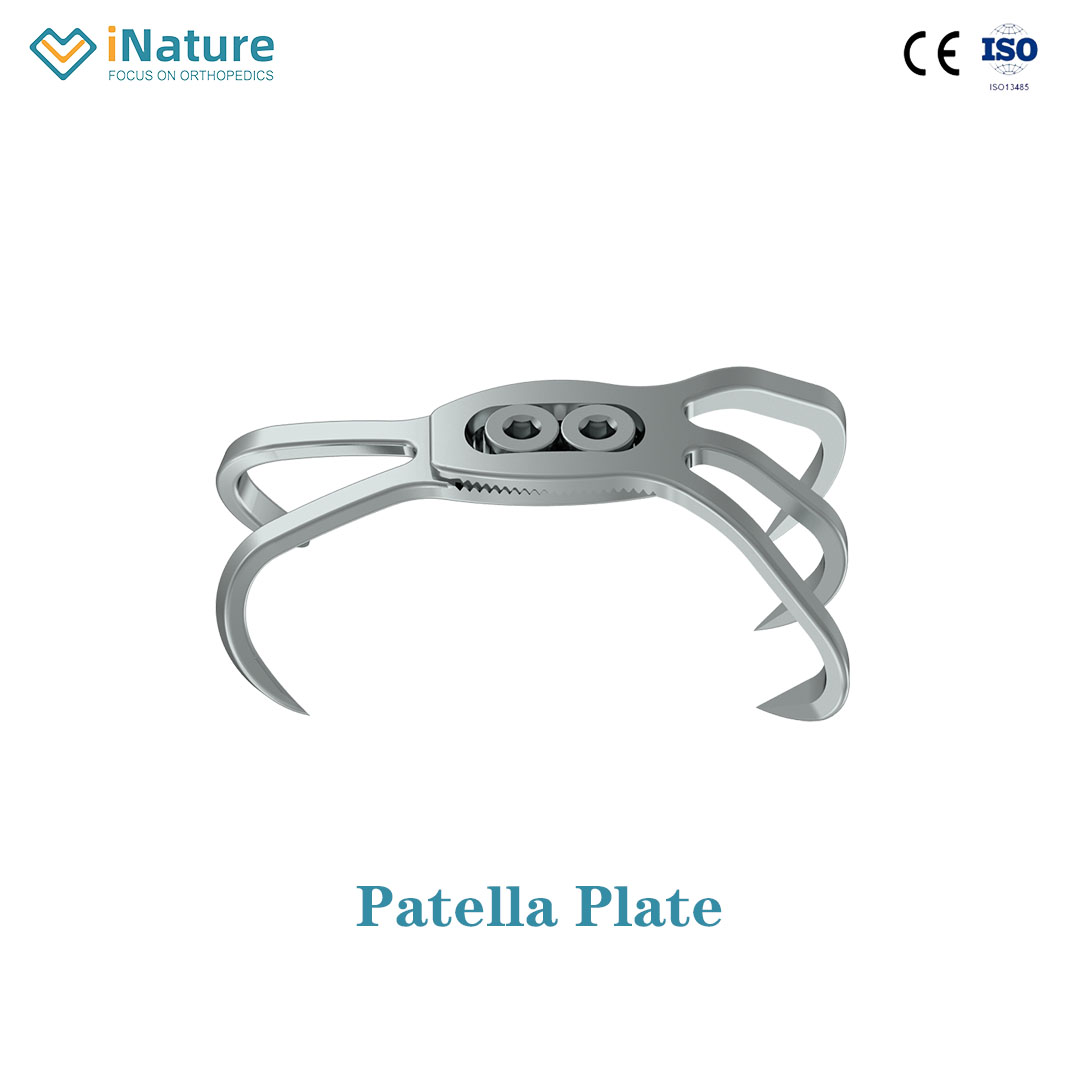 Patella Plate-| iNature - Manufacturer & Sale