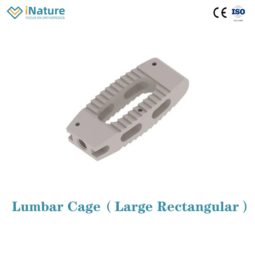 Peek Material Spinal Treatment Fusion Cage Manufacturer-Inature