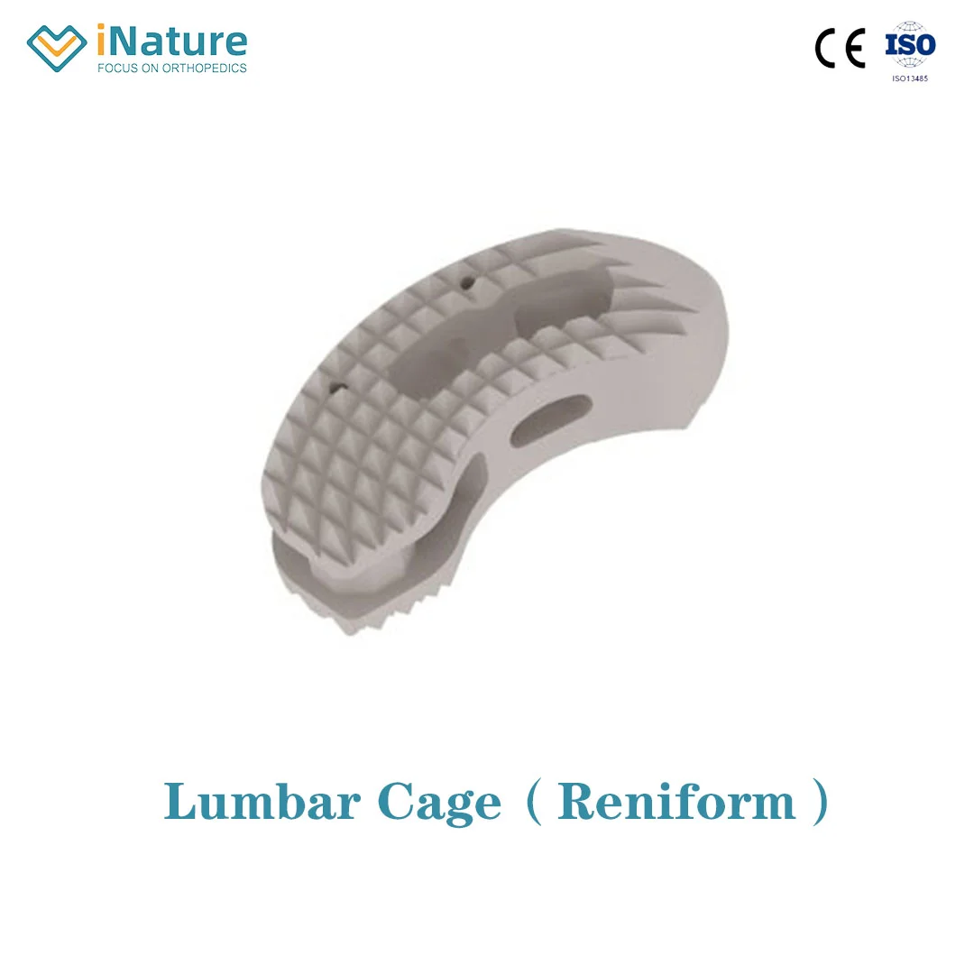 Peek Material Spinal Treatment Fusion Cage Manufacturer-Inature