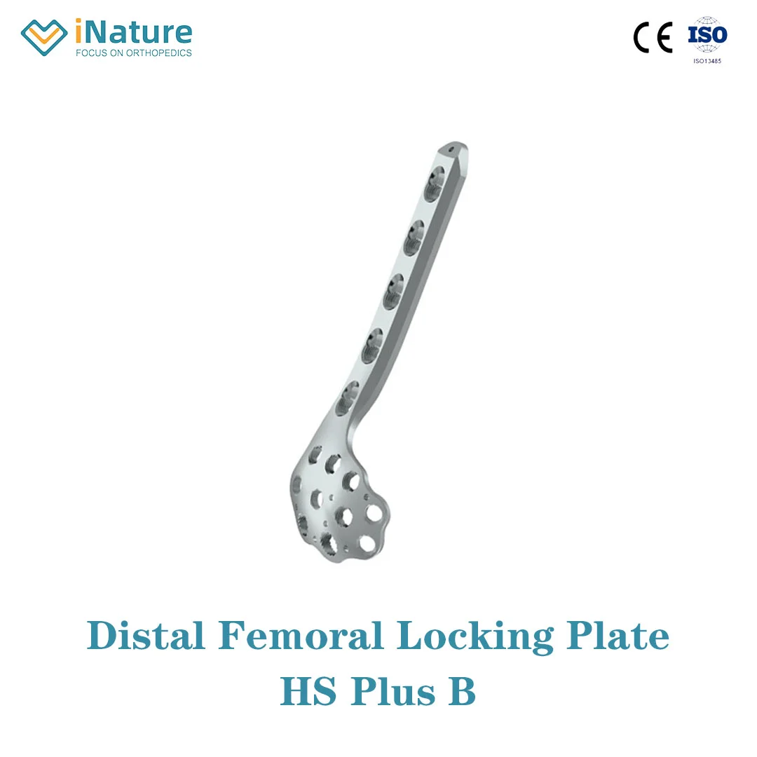 Distal Femoral Locking Plate HS Plus B-| iNature - Manufacturer & Sale