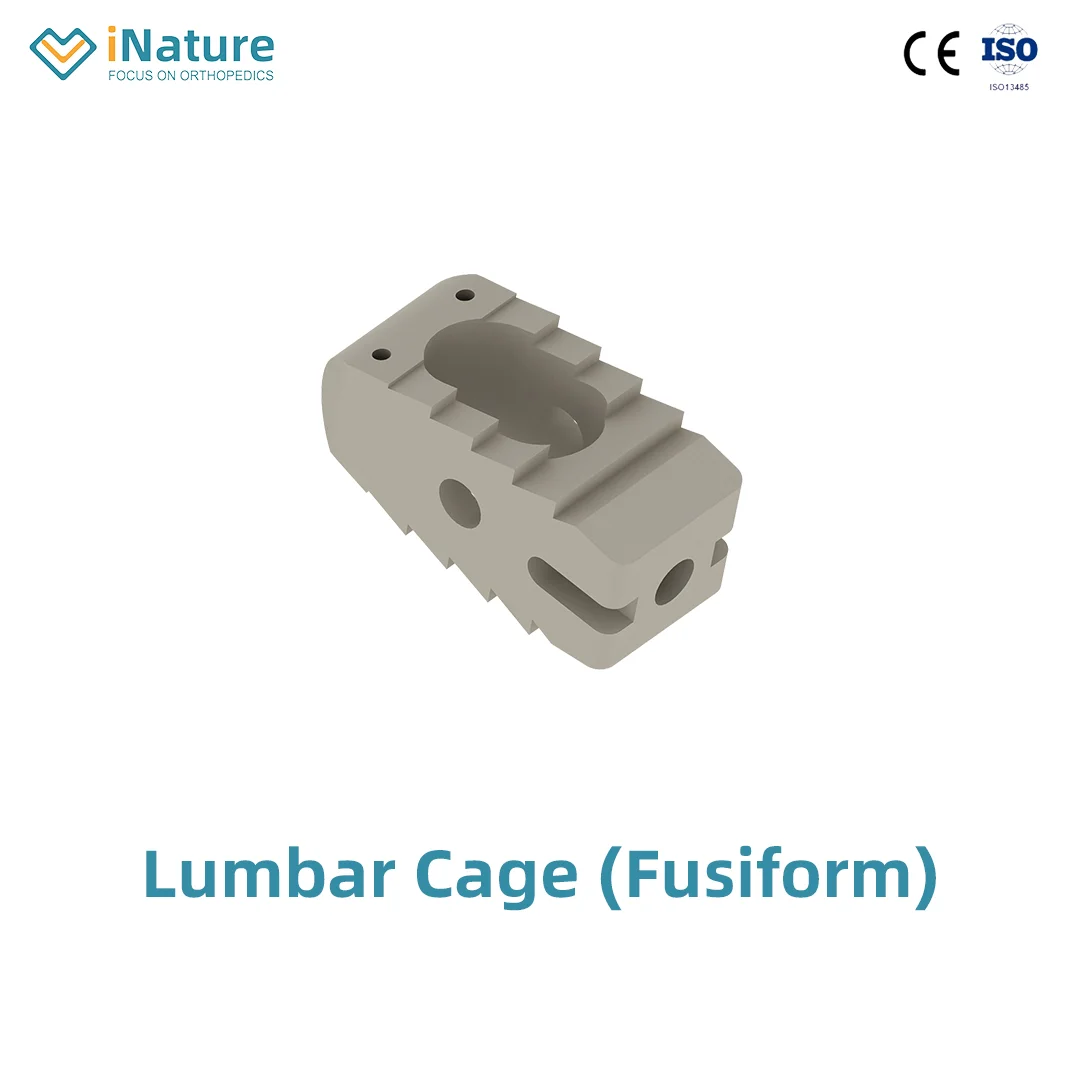 Peek Material Spinal Treatment Fusion Cage Manufacturer-Inature