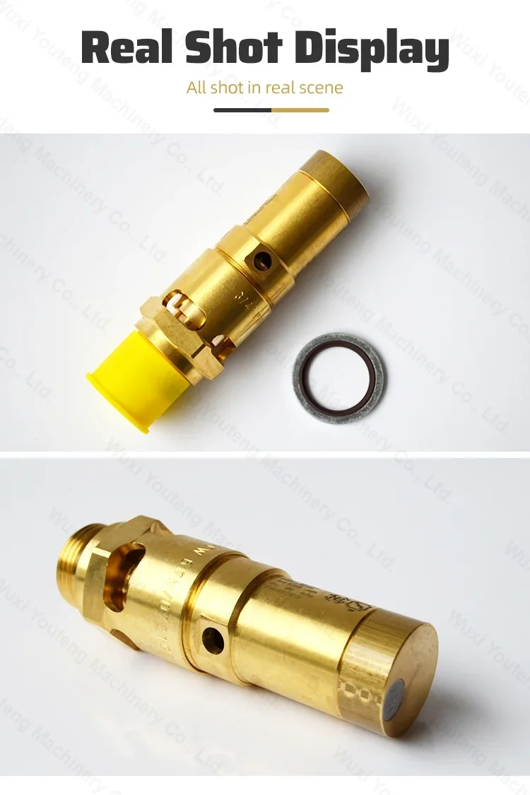 Atlas Copco Air Compressor Parts Safety Valve 1837006306