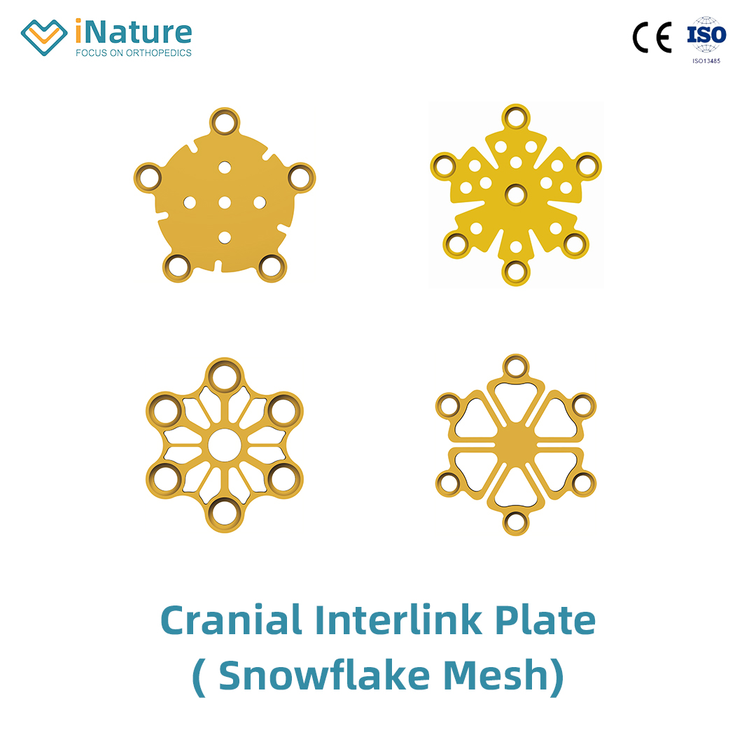 Cranial interlink plate Ⅰ (Snowflake mesh)-| iNature - Manufacturer & Sale