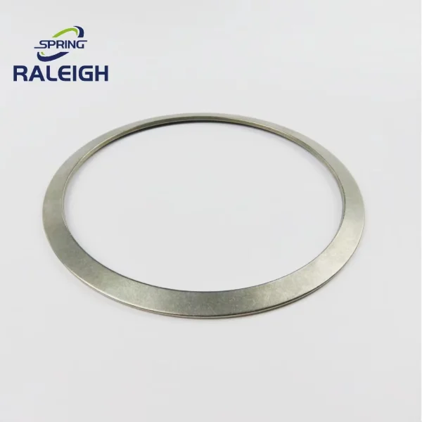 Specialized in Die Spring, Disc Spring & Wave Spring - Raleigh Spring