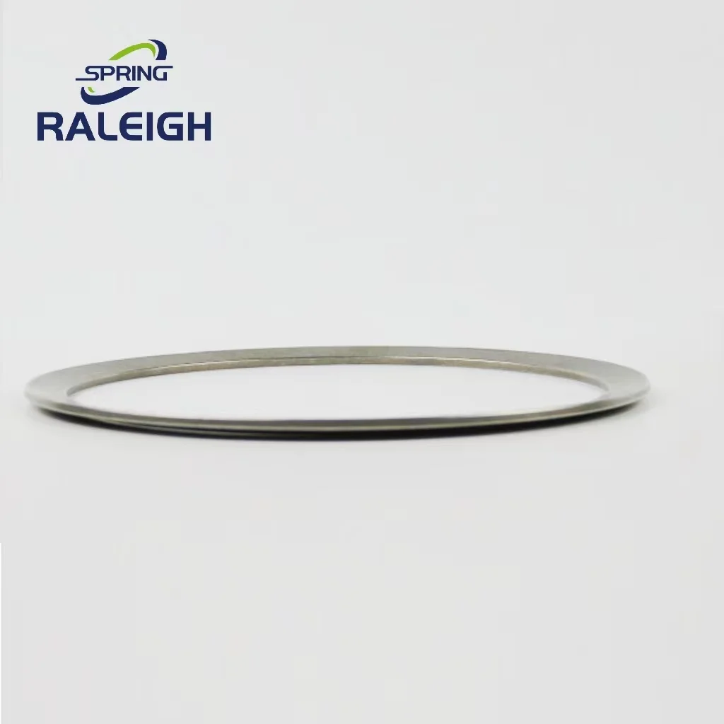 High Quality Valve Disc Spring Supplier | Custom Steel Springs