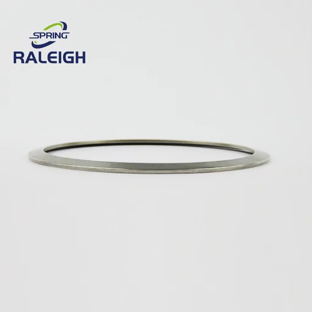 High Quality Valve Disc Spring Supplier | Custom Steel Springs