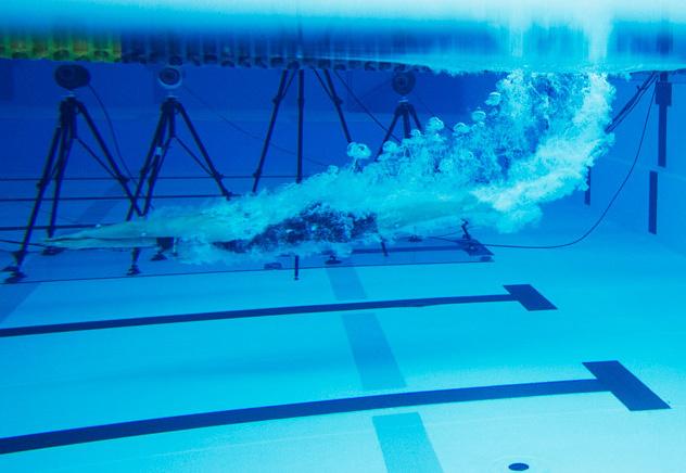 Qualisys_Arqus Underwater_fedu