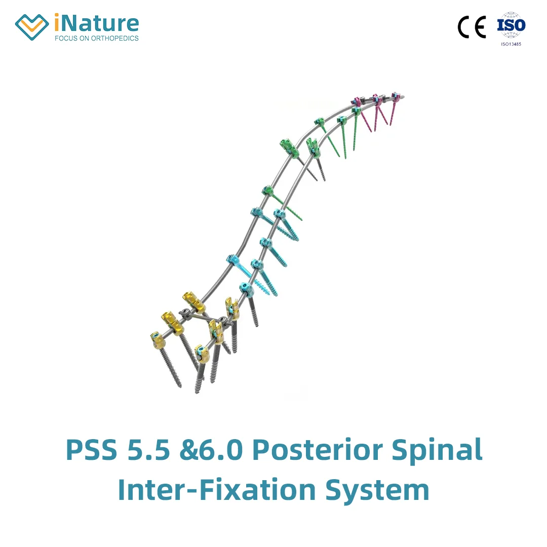 Spinal Rods And Screws Supplier/Oem For Spinal Fusion-Inature