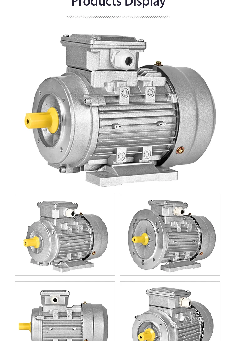 Single Phase Induction Motor Manufacturer-Yudong Motor