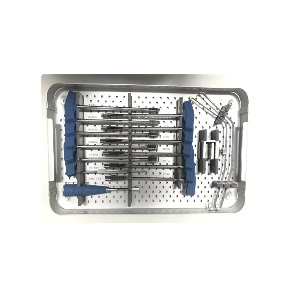Interbody Fusion Cage Surgical/Procedure Instruments Oem-Inature