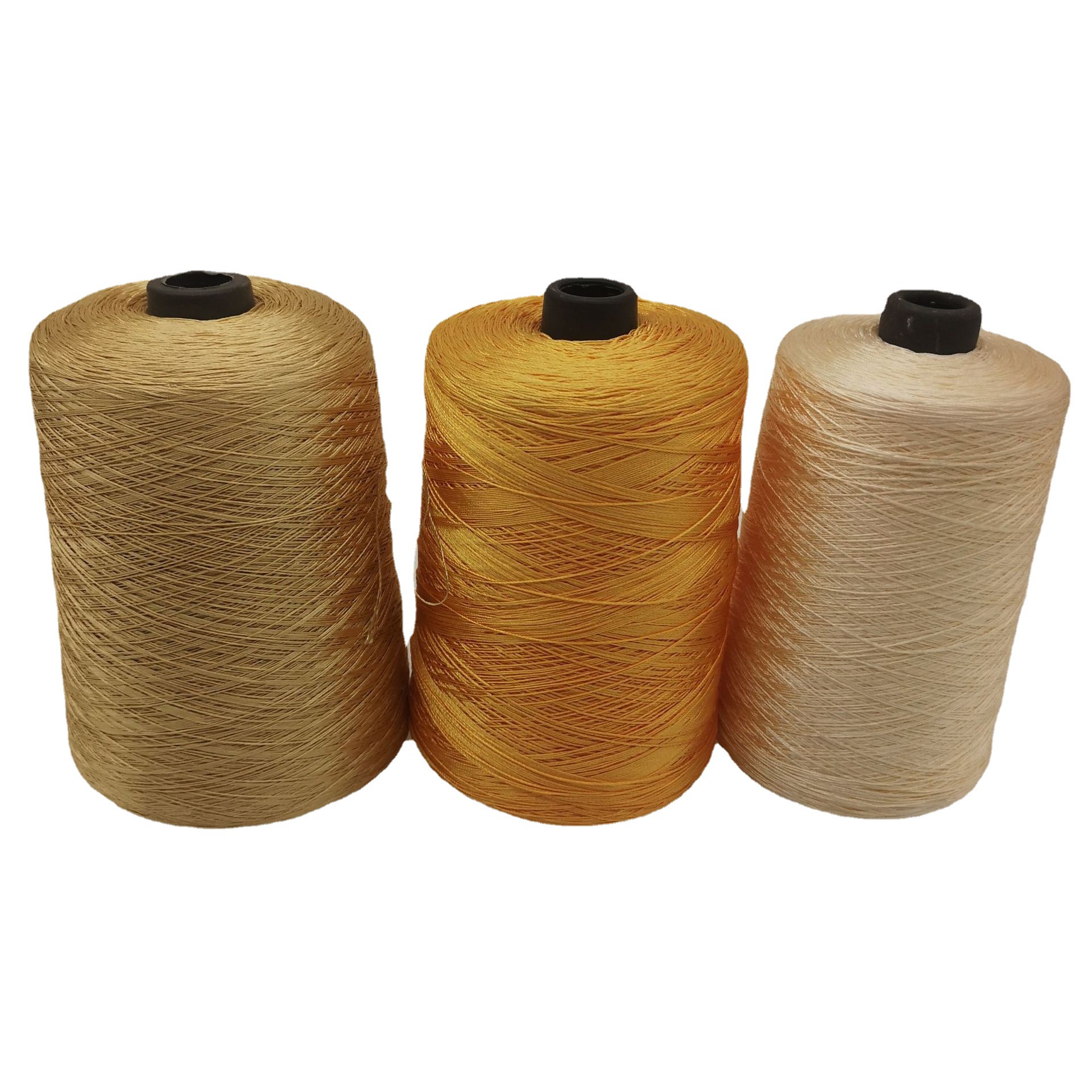 China 300D/2 Polyester Thread-100D Polyester Twist Yarn