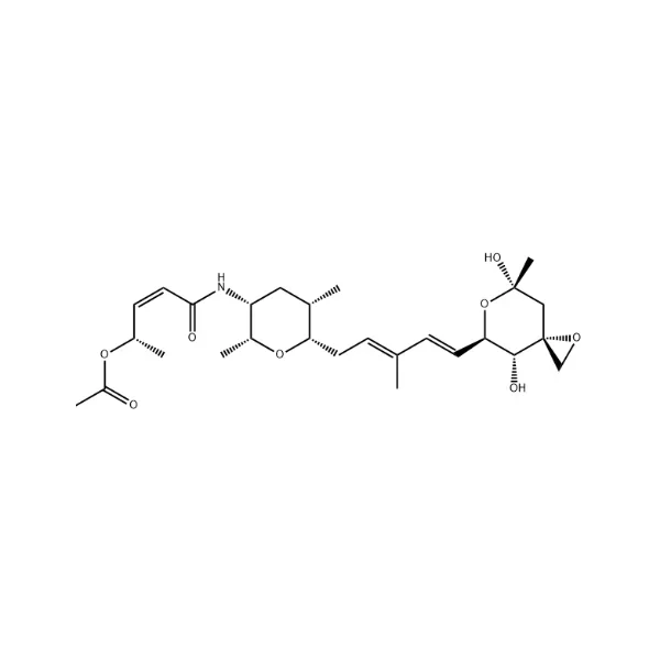 Was ist ein Antikörper-Wirkstoff-Konjugat (ADC)?