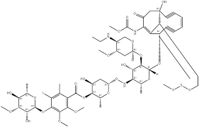 Basic introduction of calicheamicin