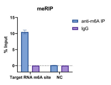 科研服务-研载生物科技（上海）有限公司