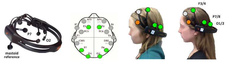 神经学科_人因工程_人因心理学_生物力学_上海形宙数字技术有限公司_https://www.hfechina.com/