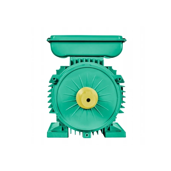 Types Of Three Phase Induction Motors-Yudong motor