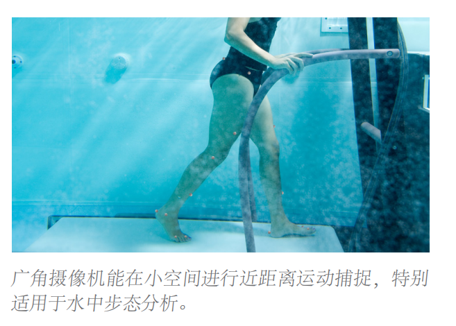 水下运动捕捉_Arqus Underwater_QUALISYS_水下三维运动捕捉系统_防水动态捕捉系统_VICON_水下三维空间定位系统